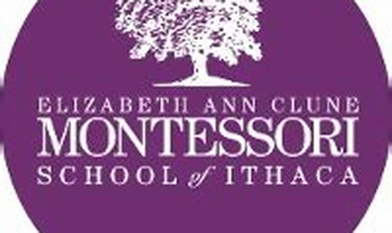 Discover the Elizabeth Ann Clune Montessori Legacy